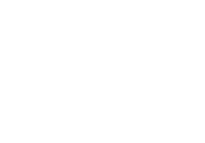 RioPort – Aduaneira