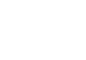 RioPort – Aduaneira